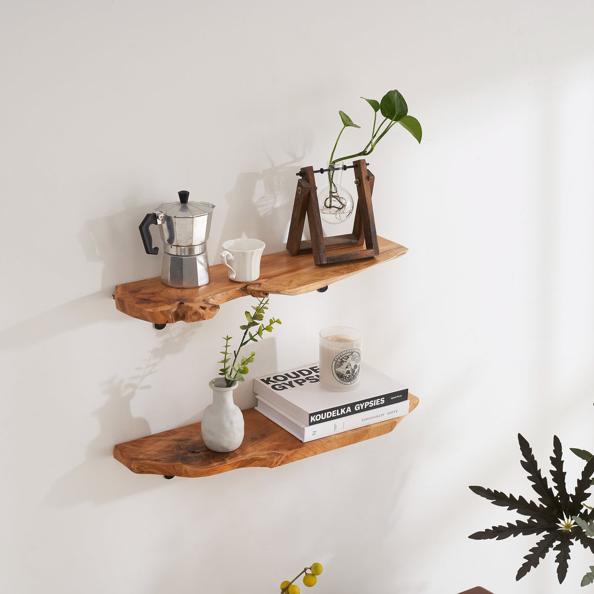 PJ Collection| Solid Wood Furniture | Wall Shelves